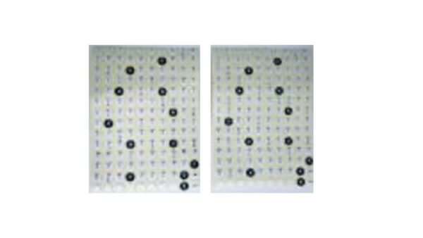Silver Dot Label Replacement Set: 128 Channel HydroCel GSN 130 - Magstim