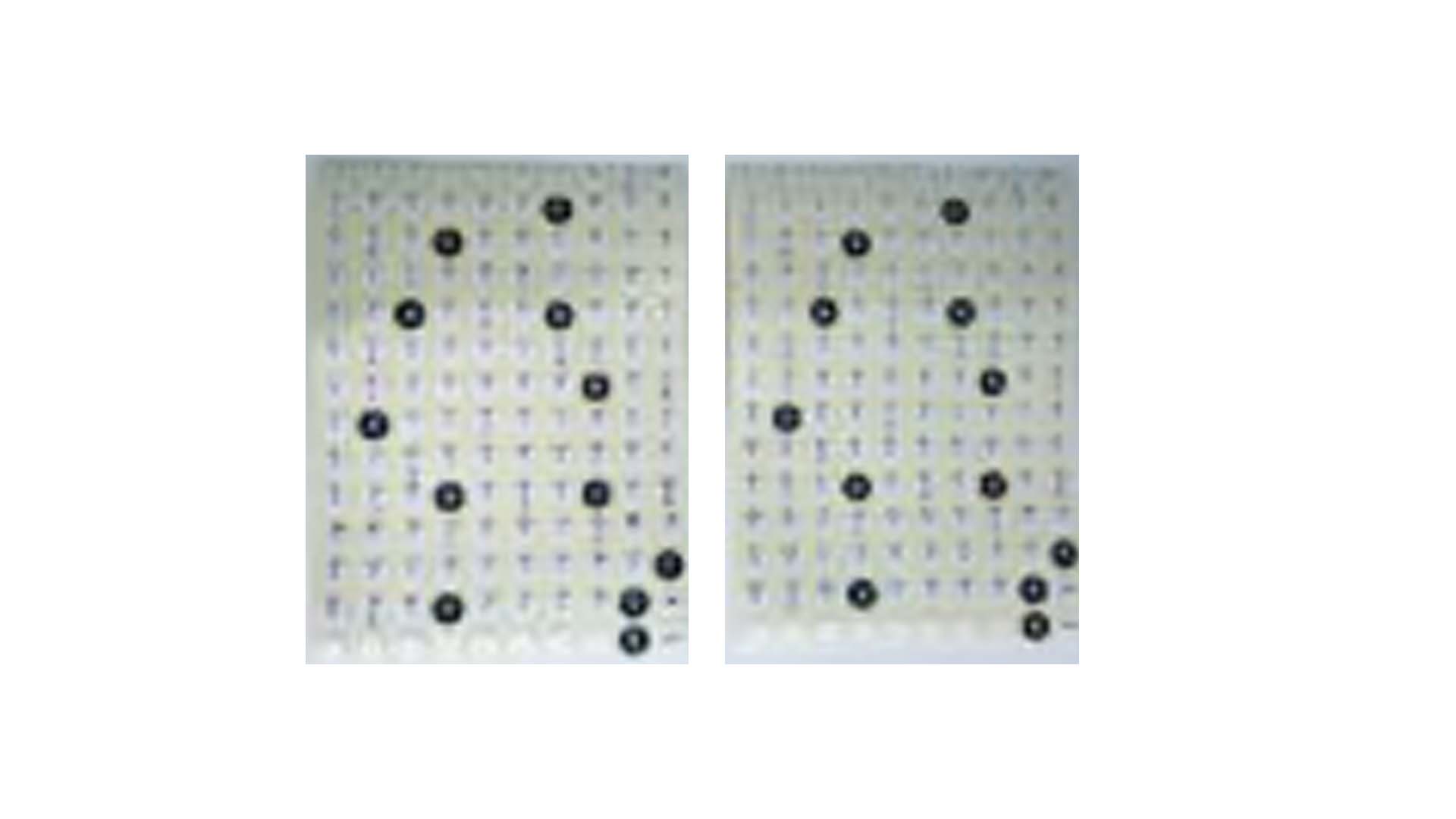 Silver Dot Label Replacement Set: 128 Channel HydroCel GSN 130 - Magstim
