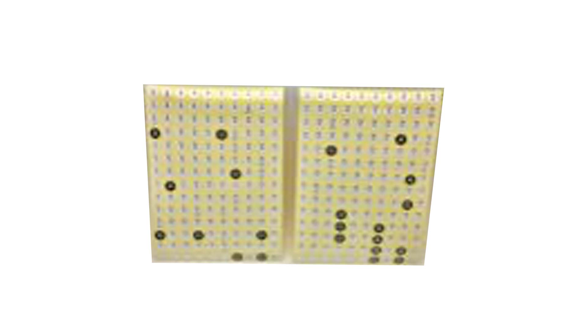 Silver Dot Label Replacement Set: 256 Channel HydroCel GSN 130 - Magstim